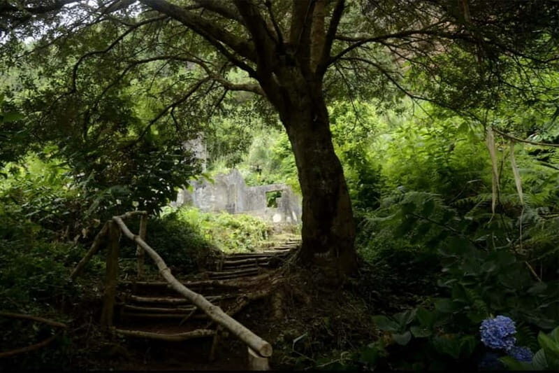 São Miguel Azores: Hike and Snorkeling with a local - Who Should Do This Tour?