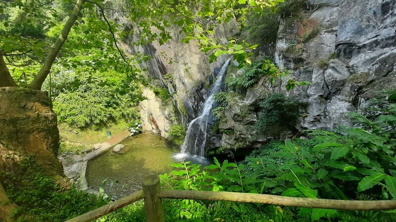 São Miguel Azores: Hike and Snorkeling with a local - The Sum Up