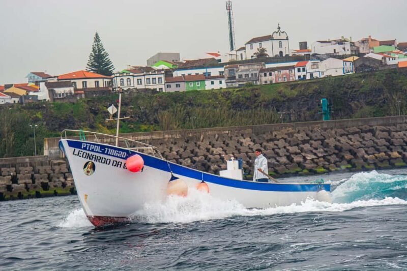 Sao Miguel: Azores Traditional Fishing - Half Day - Key Points