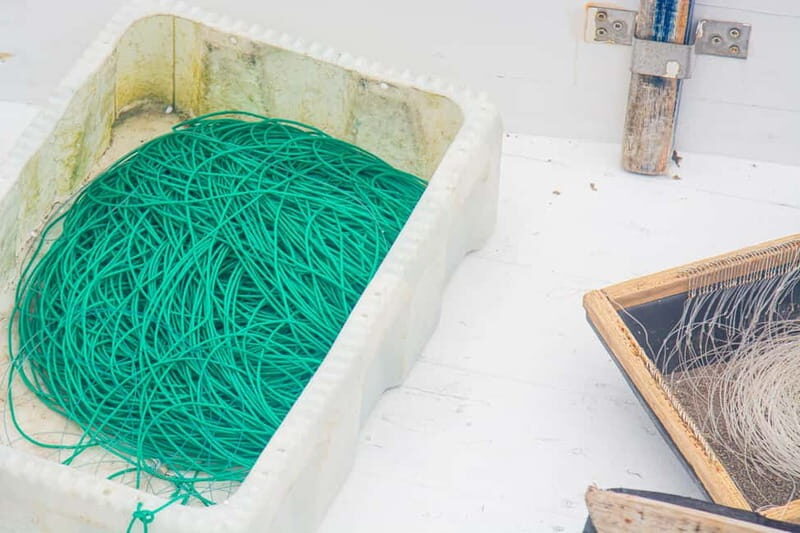 Sao Miguel: Azores Traditional Fishing - Half Day - What to Expect from the Azores Traditional Fishing Tour