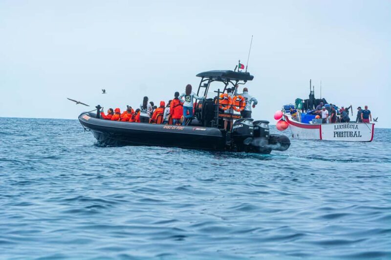 Sao Miguel: Boat Tour of the Wild & Hidden North Coast - The Experience: What It Feels Like