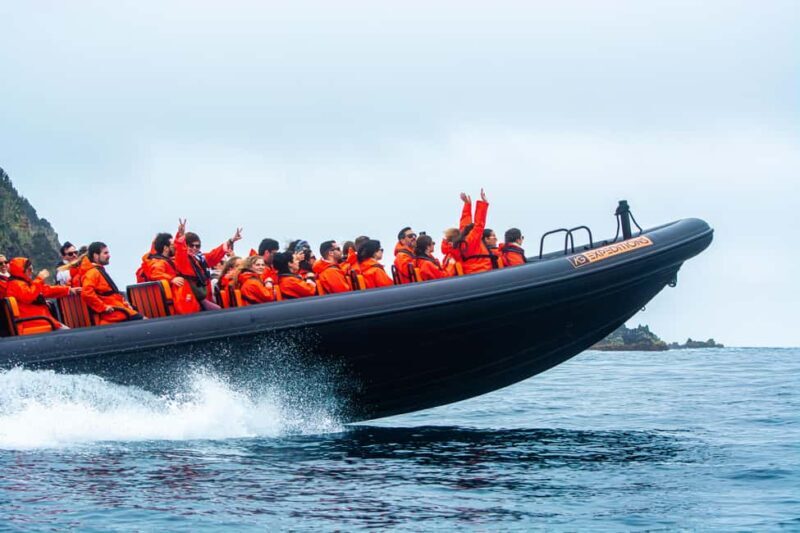 Sao Miguel: Boat Tour of the Wild & Hidden North Coast - Authenticity & Traveler Feedback