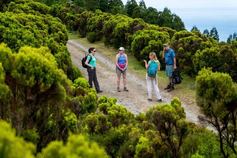 São Miguel: Full-Day Hike to Lagoa do Fogo - Key Points