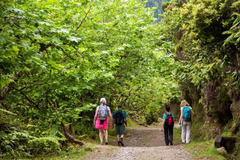 São Miguel: Full-Day Hike to Lagoa do Fogo - A Closer Look at the Experience
