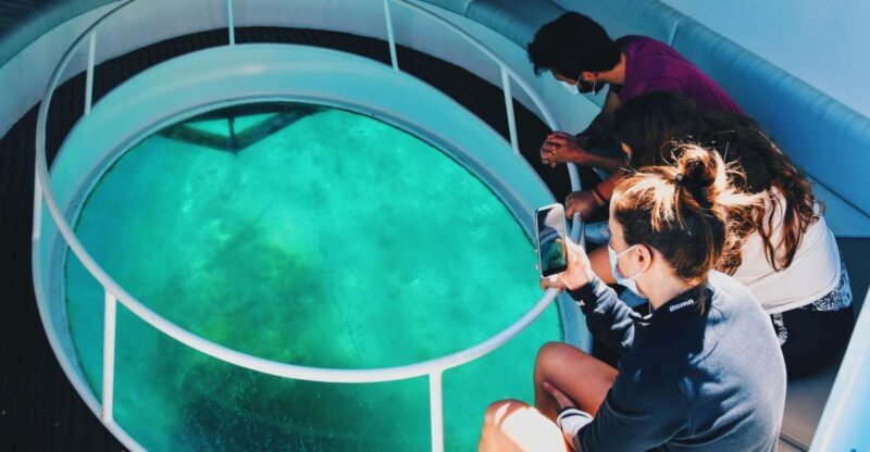São Miguel: Glass Bottom Boat Tour with Snorkeling - The Value & Why It’s Worth It