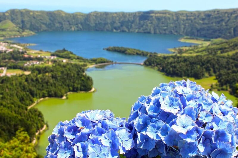 São Miguel Guided Tour to Volcano and Crater of Sete Cidades - Who Should Book This Tour?