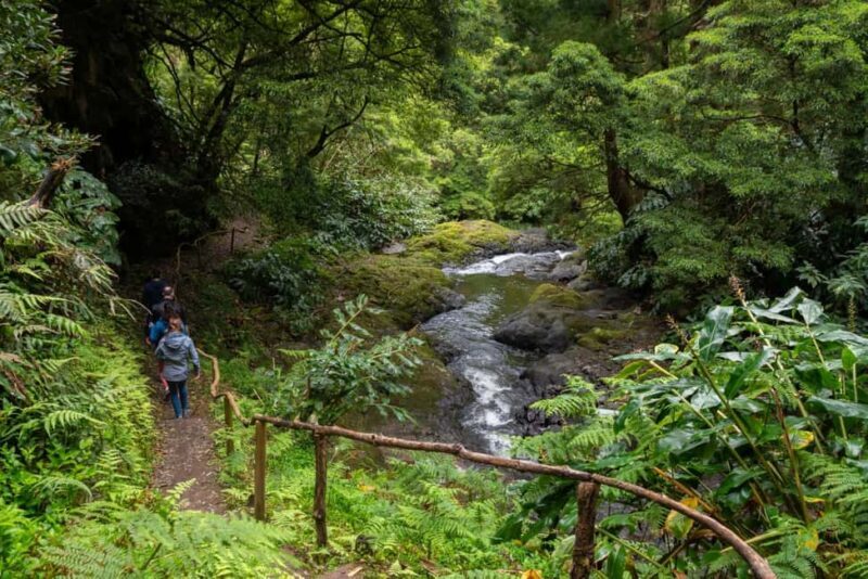 São Miguel Island: Chasing Waterfalls in the Azores Tour - A Deep Dive into the São Miguel Waterfalls Tour