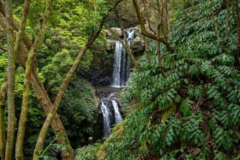 São Miguel Island: Chasing Waterfalls in the Azores Tour - Practical Tips for the Tour