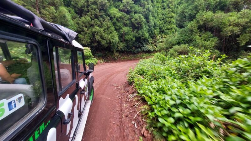 São Miguel Island: Full Day Furnas and Furnas Lake Tour - An Overview of the São Miguel Full-Day Tour