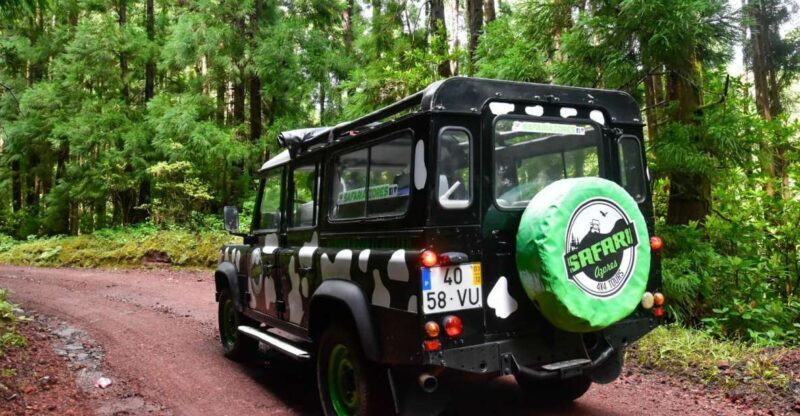 São Miguel Island: Full Day Furnas and Furnas Lake Tour - The Viewpoint: Pico do Ferro