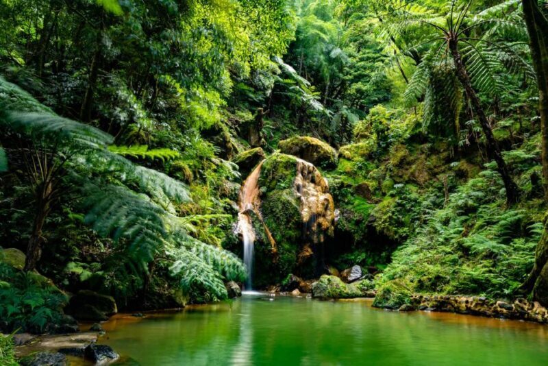 Sao Miguel: Jeep Tour to Sete Cidades & Lagoa do Fogo - A Deep Dive into the São Miguel Jeep Tour Experience  