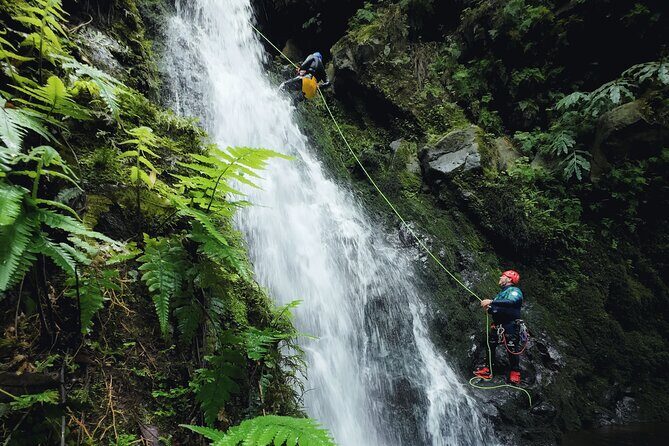 São Miguel : Level 1 Canyoning in Ribeira dos Caldeirões, Azores - The Experience in Detail