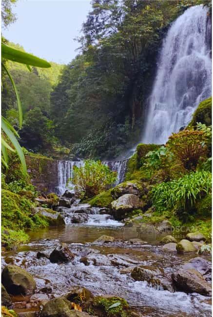 São Miguel: Majestic North Tour (Waterfalls w/Lunch) - Key Points