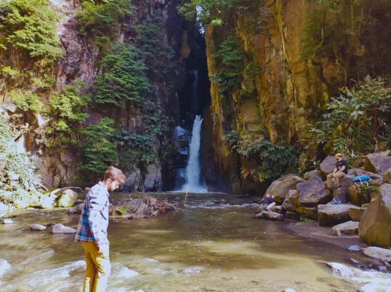 São Miguel: Majestic North Tour (Waterfalls w/Lunch) - The Real Deal: What Travelers Say