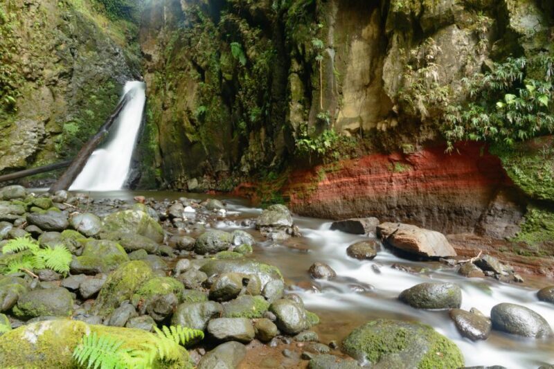 Sao Miguel: Salto do Cabrito Guided Canyoning Experience - The Sum Up