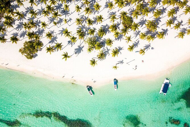 Saona Island Cruise & Private Beach - Key Points