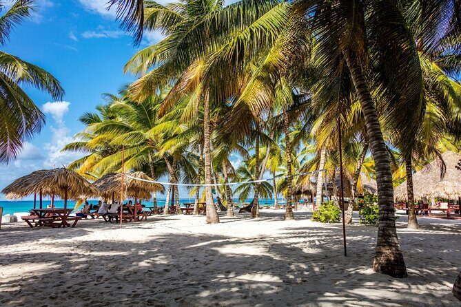 Saona Island Cruise & Private Beach - Who will love this tour?