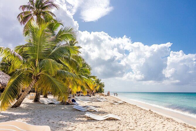 Saona Island Cruise & Private Beach - Final Thoughts