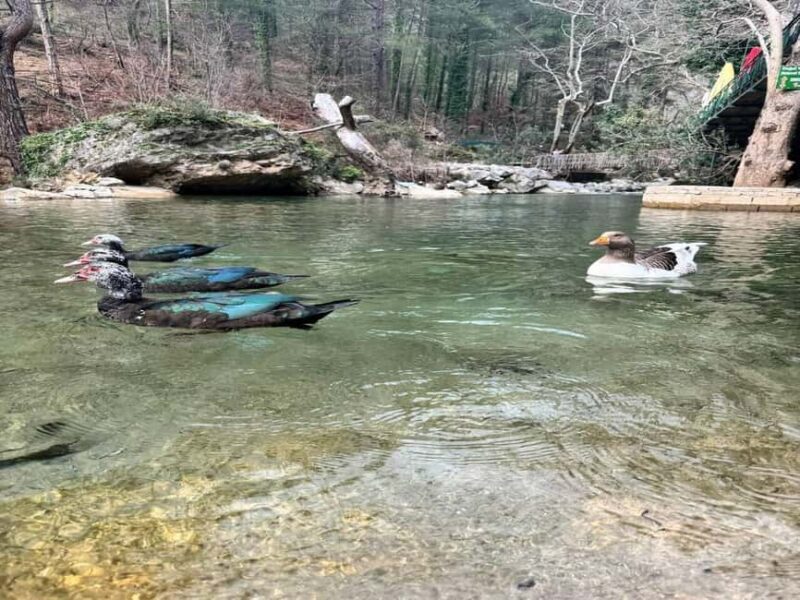 Sapadere Jeep Safari: Taurus Mountains, Waterfall & Cave - Key Points