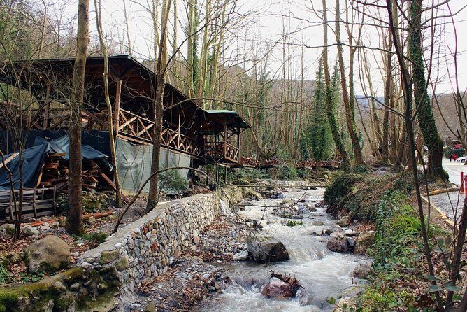 Sapanca And Masukiye Tour With Lunch - Full Day - FAQ