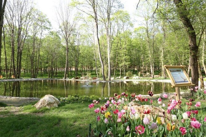 Sapanca Lake and Masukiye Tour from Istanbul - The Sum Up: Is It Worth It?
