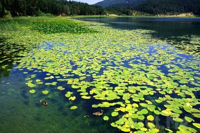 Sapanca Lake & Masukiye Tour From Istanbul - An In-Depth Look at the Itinerary