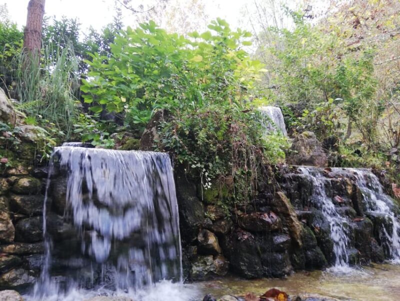 Sapanca & Masukiye Full-Day Tour with Lunch and Transfers - An Introduction to the Tour Experience