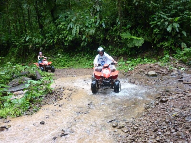 Sapanca & Masukiye Full-Day Tour with Lunch and Transfers - The Sum Up: Who Should Consider This Tour?