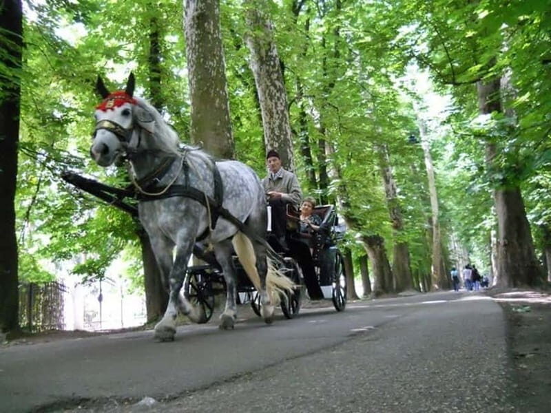 Sarajevo: Vrelo Bosne Nature Park Private Tour - The Carriage Ride: Nostalgia on Four Wheels