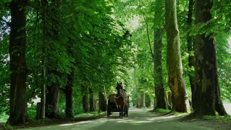 Sarajevo: Vrelo Bosne Nature Park Private Tour - The Return Journey