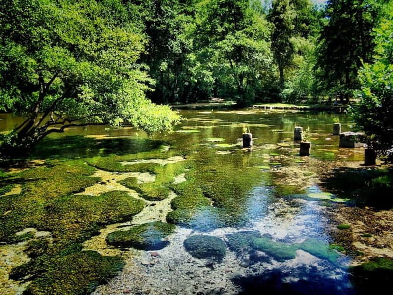Sarajevo: Vrelo Bosne Nature Park Private Tour - What Makes This Tour a Great Choice?
