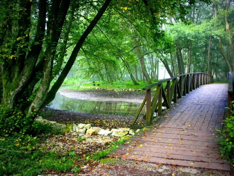 Sarajevo: Vrelo Bosne Nature Park Private Tour - The Sum Up: Who Will Love This Tour?