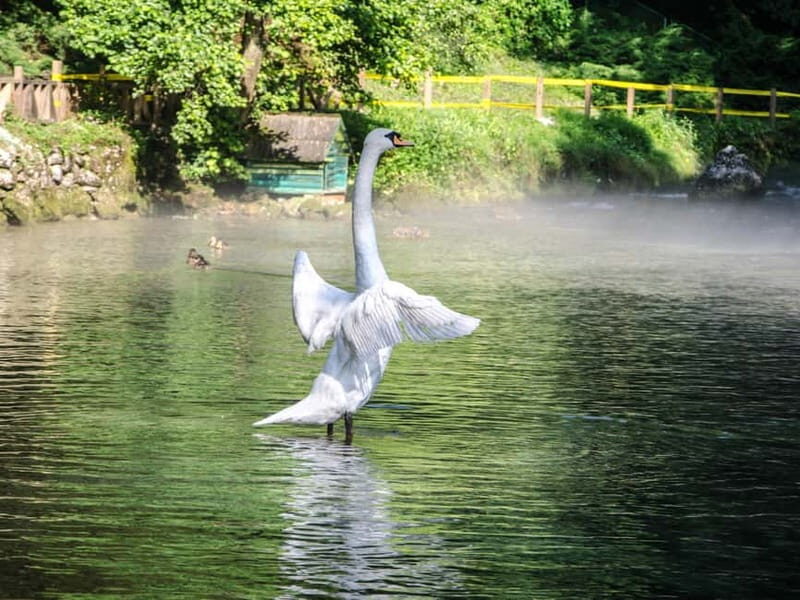Sarajevo: Vrelo Bosne Nature Park Private Tour - Frequently Asked Questions