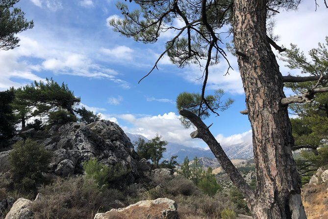 Sarakina Gorge, Kritza, Oliveoil Tasting, Mountains, South Coast - FAQ