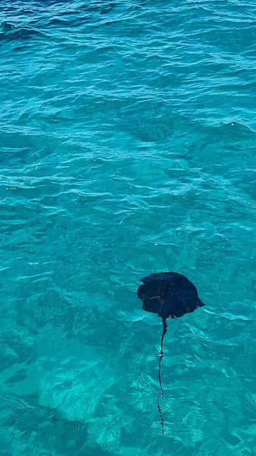 Sarandë Sea Safari: Speedboat to Hidden Coves & Wild Beaches - Discovering the Hidden Gems of the Ionian Coast