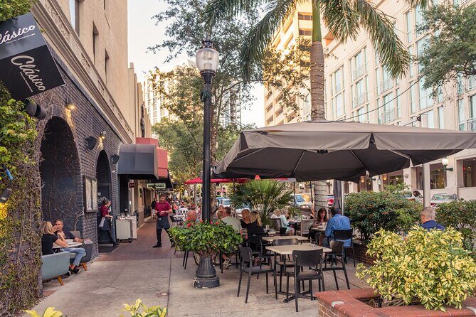 Sarasota Paddle & Taste: Private Kayak + Food Tour - The Sum Up