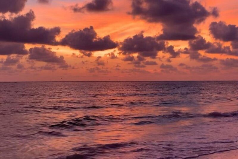 Sarasota: Siesta Key Electric Bike Sunset Tour - Key Points