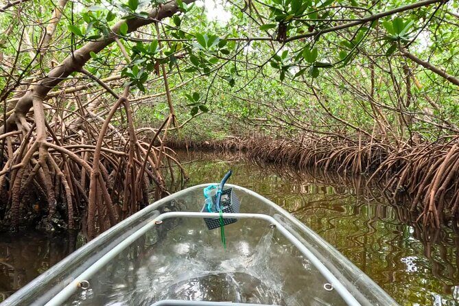 Sarasota Waterways Tour for All Ages - The Sum Up
