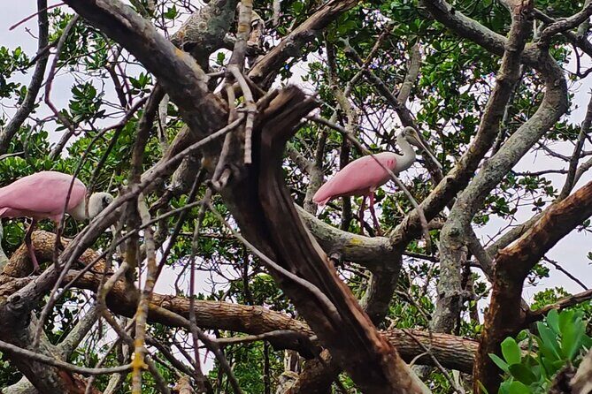 Sarasota Waterways Tour for All Ages - Frequently Asked Questions (FAQs)