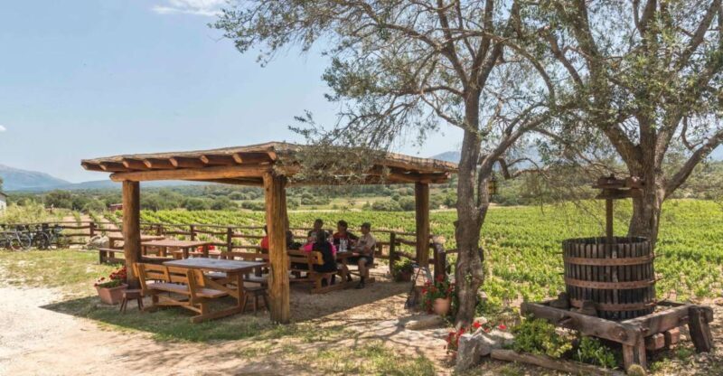 Sardinia: Dorgali Winery Tour with Tasting and Local Guide - Value and Price Analysis