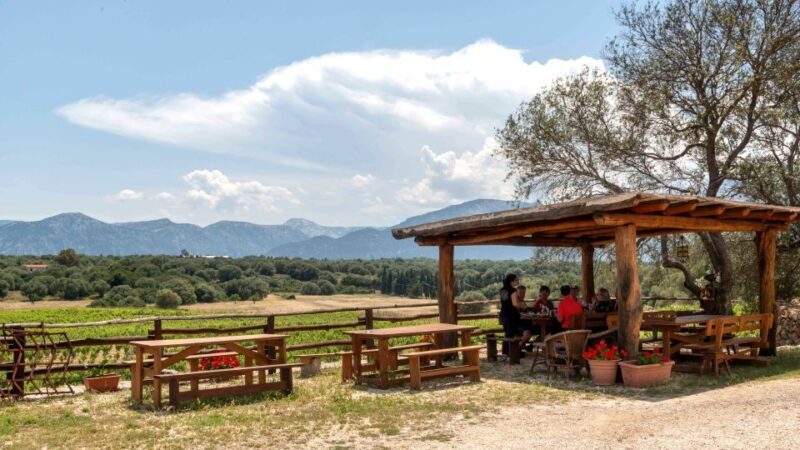 Sardinia: Dorgali Winery Tour with Tasting and Local Guide - Practical Tips for Visitors