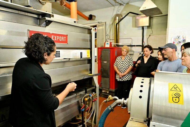 SARDINIA FOOD Tour in the oil mill, with tasting, at sunset. - Sardinia Food Tour in the Oil Mill with Sunset Tasting: An Authentic Olive Oil Experience