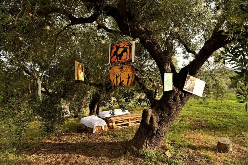 SARDINIA FOOD Tour in the oil mill, with tasting, at sunset. - The Sum Up