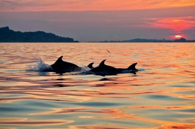 Sardinia: Sunset Kayak Tour + Snorkeling and Local Aperitif - Practical Tips for Participants