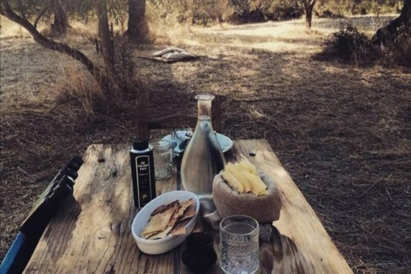 Sardinian Olive Oil tasting & Picnic among the olive trees - The Olive Grove Walk