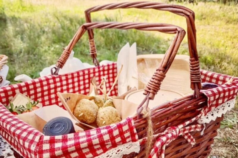 Sardinian Olive Oil tasting & Picnic among the olive trees - The Picnic in the Olive Grove