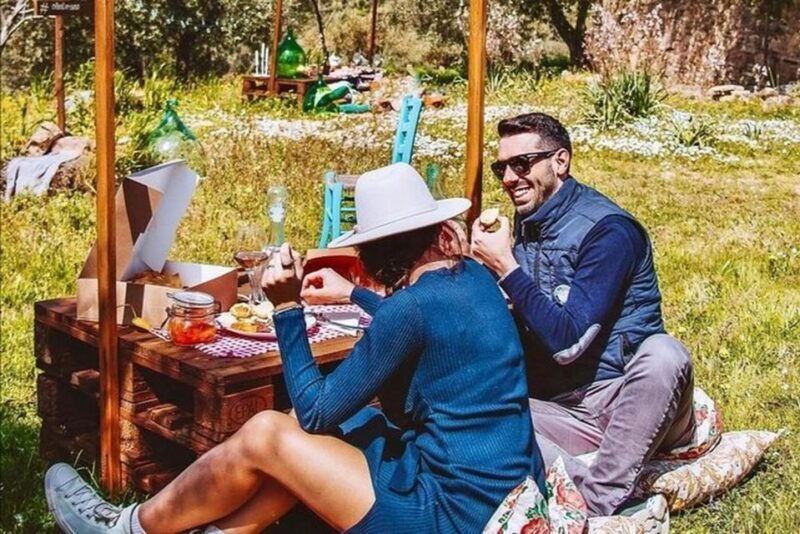 Sardinian Olive Oil tasting & Picnic among the olive trees - What We Love and What to Consider