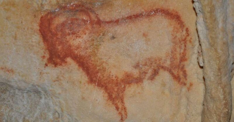 Sarlat: Private tour Prehistoric Cave + Castle by Exploreo24 - The Sum Up