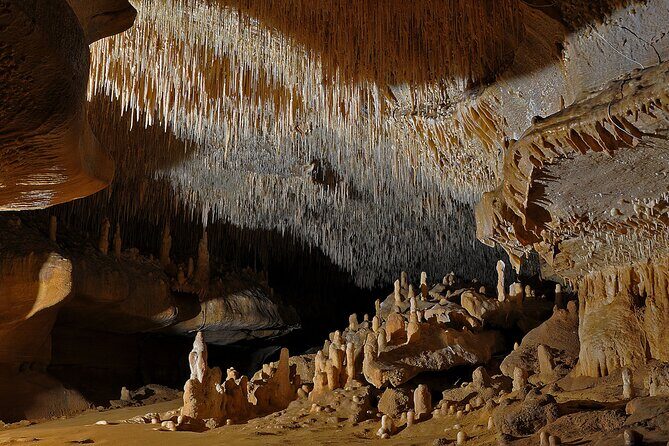 Sarlat : Private Tour to a Prehistoric Cave by Exploreo24 - FAQ