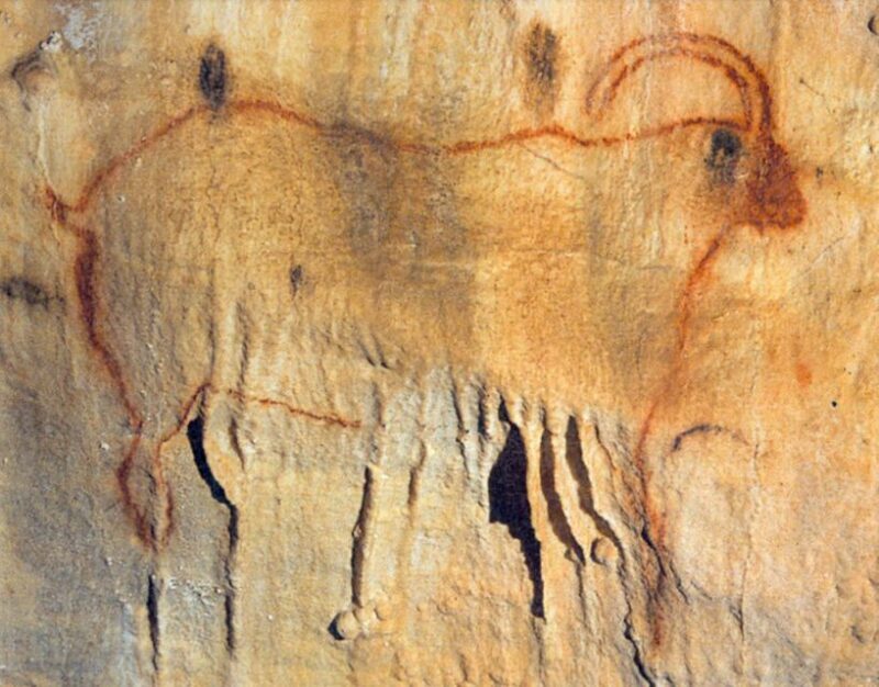 Sarlat : Private Tour to a Prehistoric Cave by Exploreo24 - A Deep Dive into the Experience